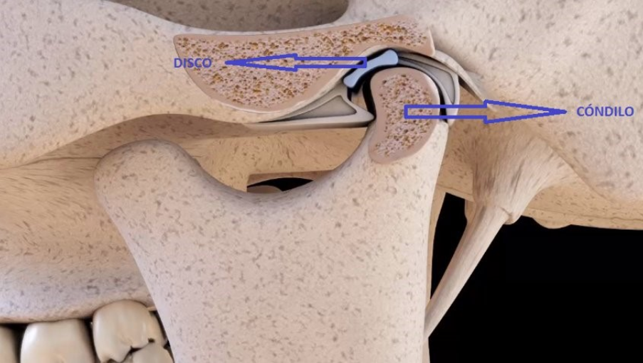 ATM – Web especializada en ATM y Bruxismo